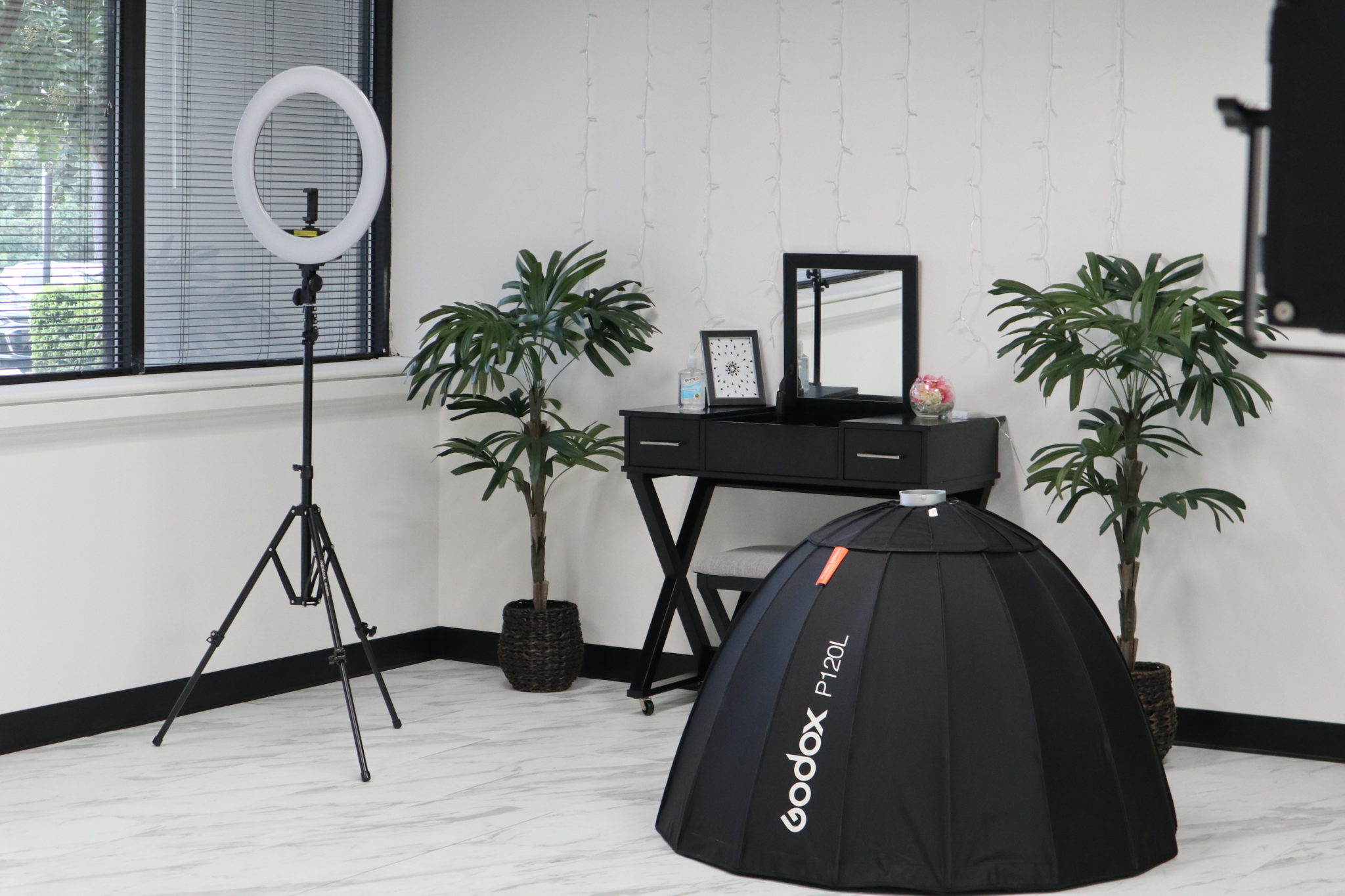 Have A Photoshoot At Picture Studios For Just $30 Per Hour